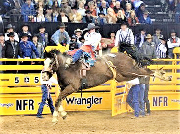 Gerry Rodeo Alumni Competing At Nationals Beginning Wednesday | News ...